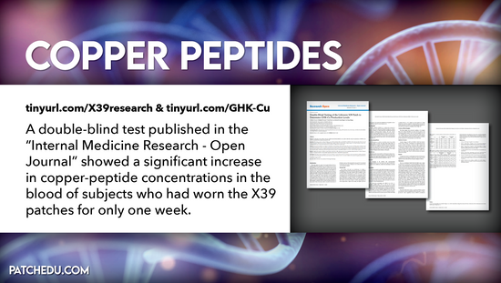 Patch Technology Education – PatchEDU