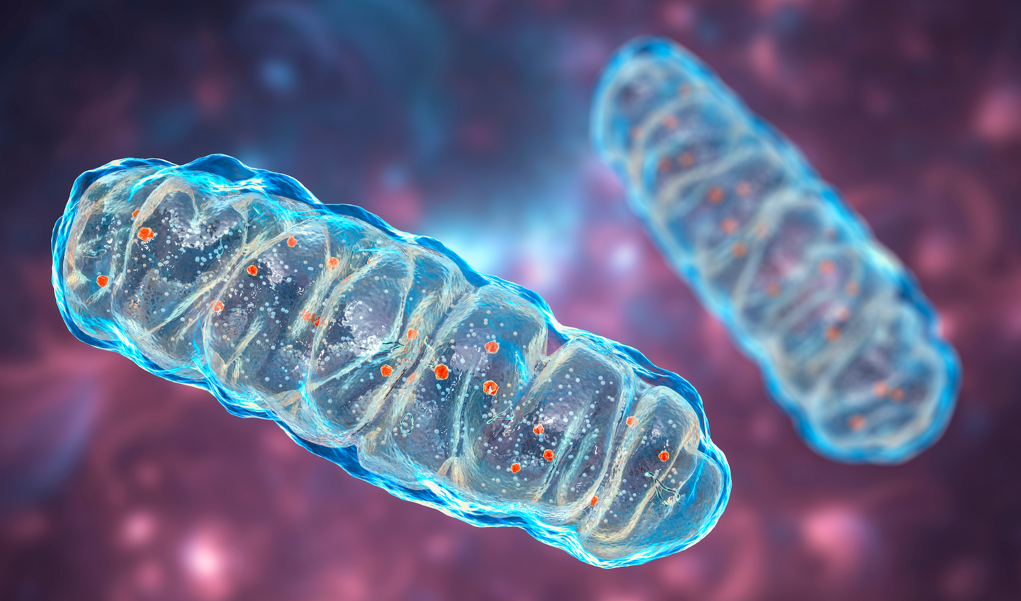 LifeWave Patches Overview - Canada – PatchEDU