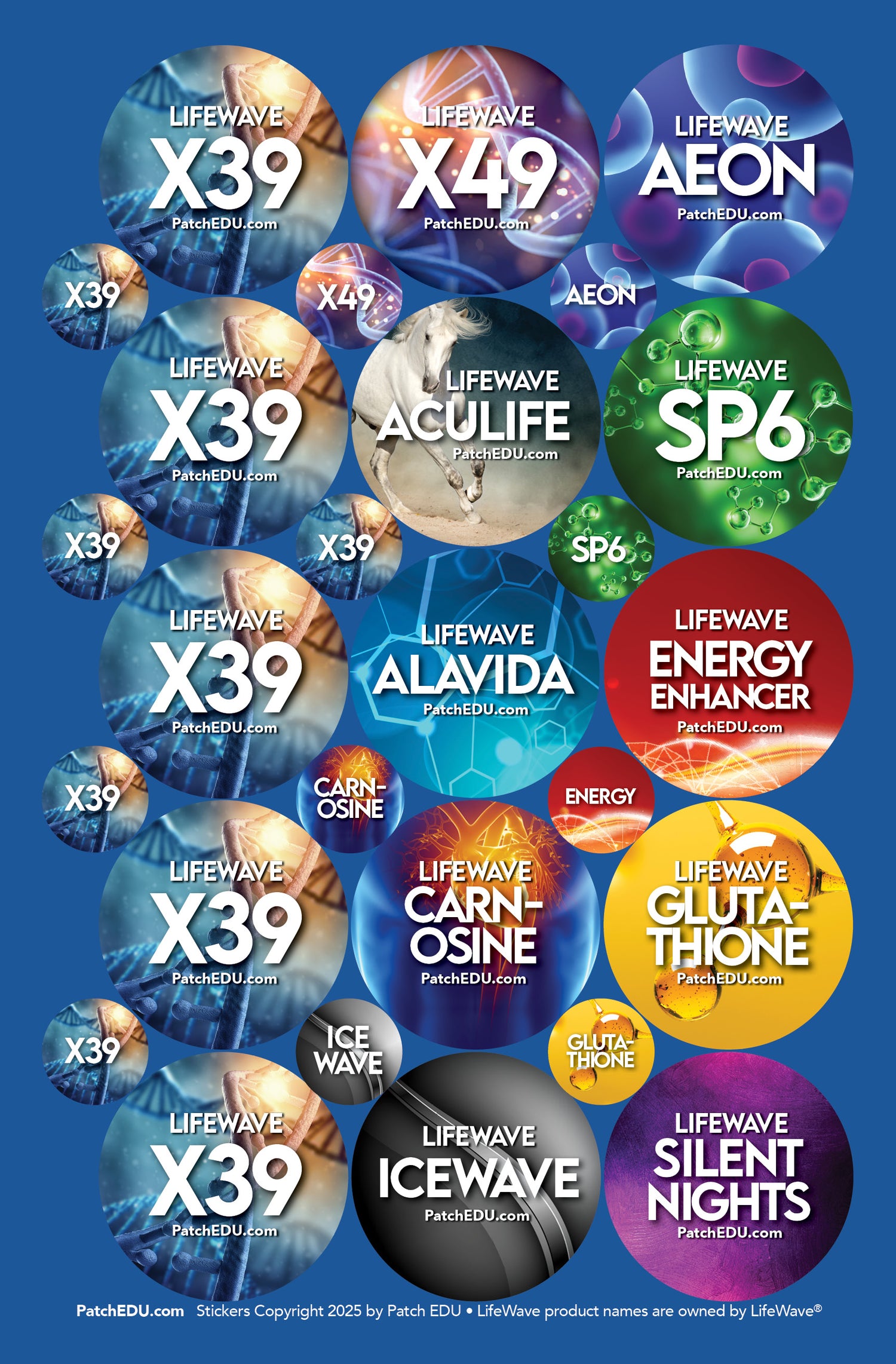 Collections – PatchEDU