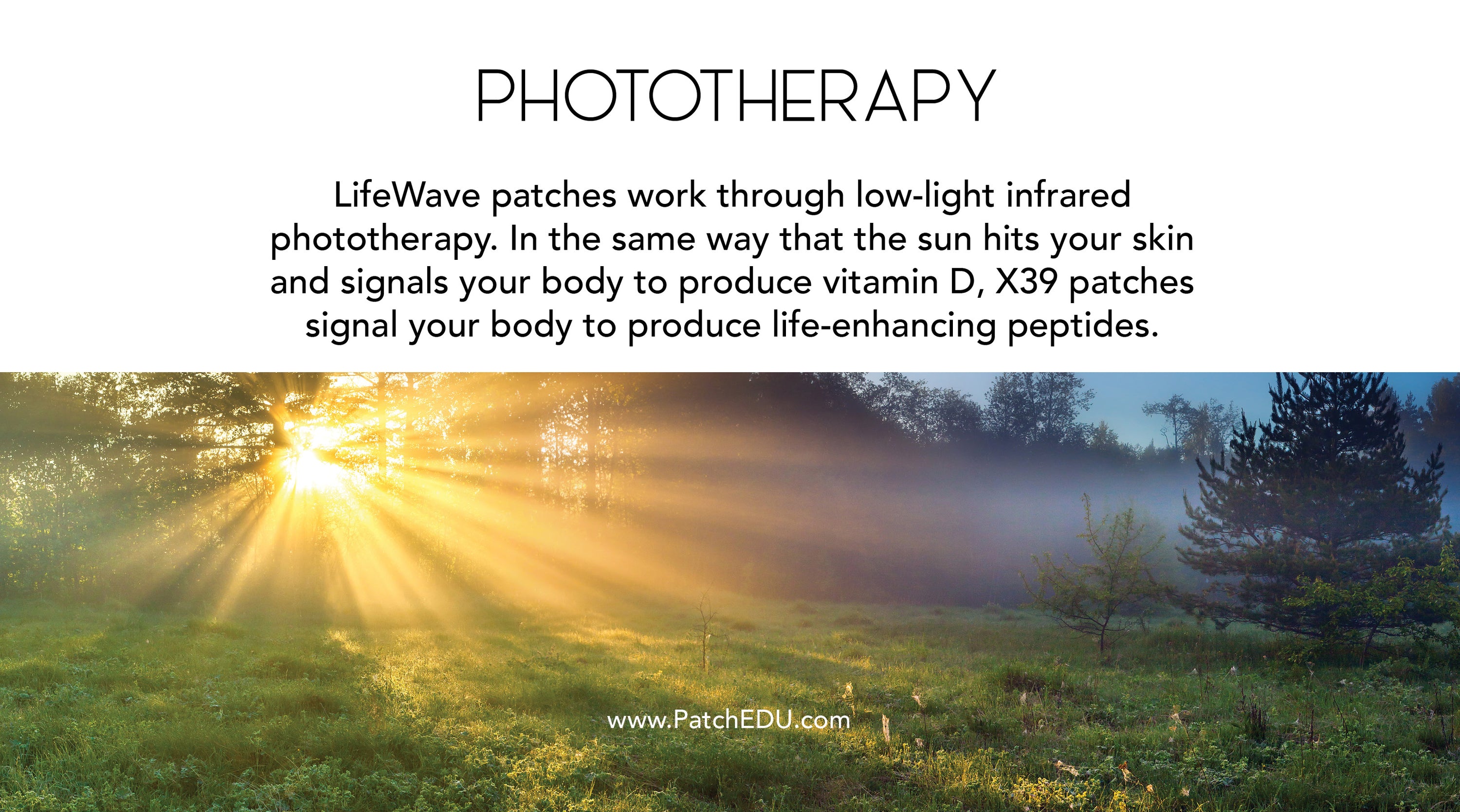 Patch Technology Education – PatchEDU